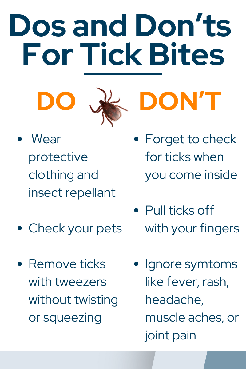 Your Dos and Don’ts for Tick Season – SolutionHealth Your Dos and Don’ts for Tick Season – SolutionHealth